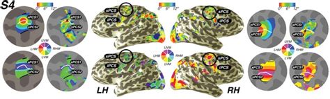 Figures And Data In Visual Field Map Clusters In Human Frontoparietal Cortex Elife
