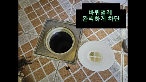 바퀴벌레 양변기냄새차단 화장실 욕실 바퀴벌레 하수구냄새제거 화장실냄새 담배냄새 양변기트랩 고양이냄새제거 세면대냄새차단 모기 유충 Youtube