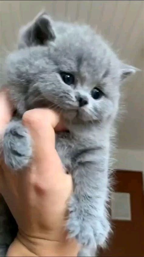 Kittyloveig On Instagram Give Me Him Back🥰 ️ Follow Kittyloveig For