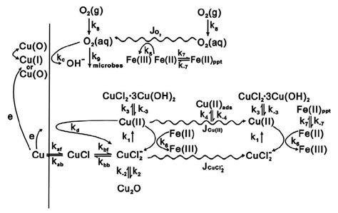 Reaction Scheme For The Copper Corrosion Model For Uniform Corrosion Download Scientific