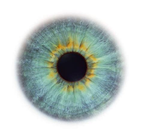 Convergentpatterns Photography Datavisualization Dataviz… Manuel Lima