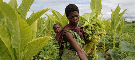 Unpaid Care Work Everything You Need To Know