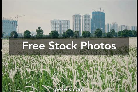 Integrated Urban Development Planning Photos Download The Best Free