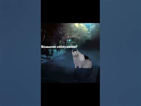 #лилео #котлеонард #лиллит - YouTube
