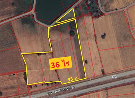 ขายที่ดินติดถนนวงแหวนรอบเมือง 290 ตำบลโป่งแดง อำเภอขามทะเลสอ จังหวัดนครราชสีมา 36 ไร่ ที่ดิน