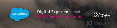 Solution Brief Salesforce Digital Experience And Performance