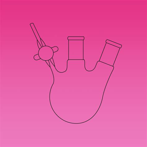 Flask Schlenk Flask Reaction 2 Neck With Glass Stopcock And Socket