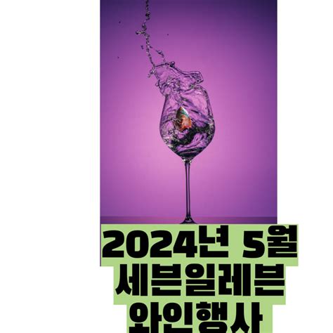 2024년 5월 편의점 와인행사 711 세븐 일레븐 행사품목 리스트 갓성비 와인 운동뚜웅 블로그
