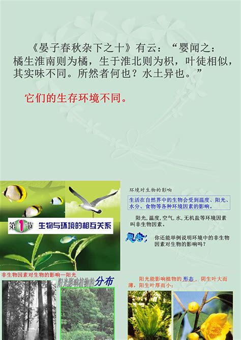 1 生物与环境的相互关系PPT 卡卡办公