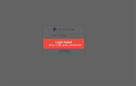 Unfetched Attribute Access Error CUBA Platform
