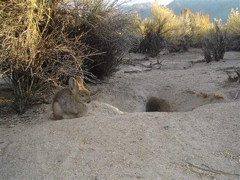 Nature Of A Man Back In The Bunny Zone Part 2