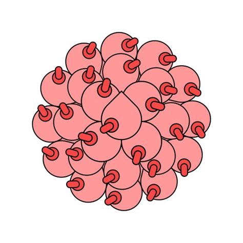 Boobs Vector Images Over 2200