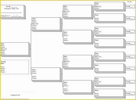 Free Rabbit Pedigree Template Of Rabbit Pedigree Blank Chart Rabbits