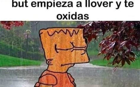 Los Mejores Memes De La Lluvia Memedroid