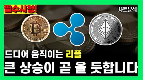 리플 코인전망 앞으로 리플은 100일안에 여기까지 올라갑니다 Youtube