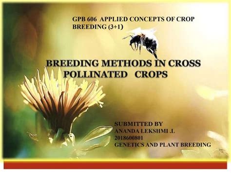 Diallele Selective Mating System Pptx Genetics Science