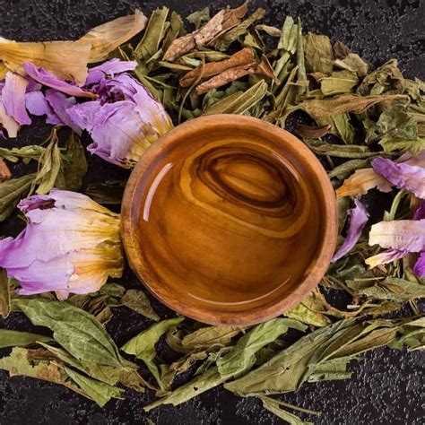 What Is Calea Zacatechichi A Guide To This Mexican Dream Herb