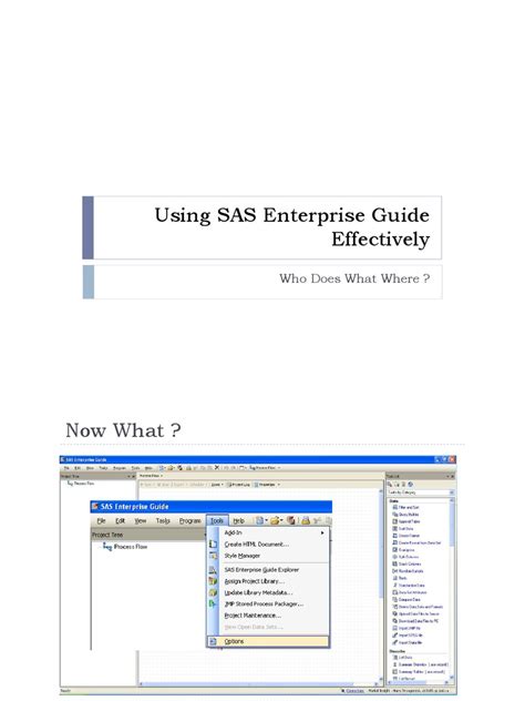 Using Saseg Effectively Proc Sql Good One Read At Home Pdf