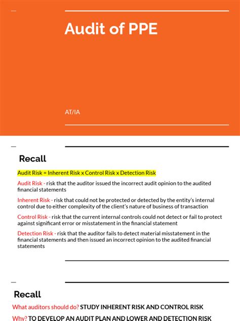 Audit Of Ppe Pdf