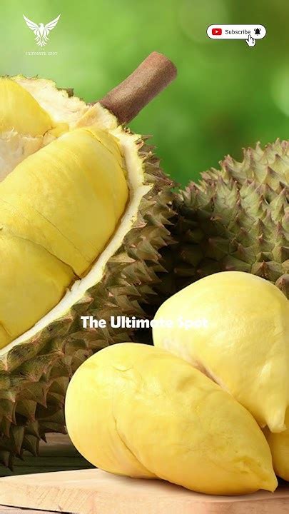 ලිංගික ශක්තිය වඩවන කෑම කිහිපයක් 🌶️🔥 Boost Your Sex Drive 🍆💥 Foryou Sexualhealth Shorts Love