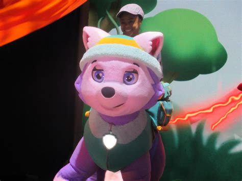 Paw Patrol Live Heroes Unite Everest By Codetski101 On Deviantart