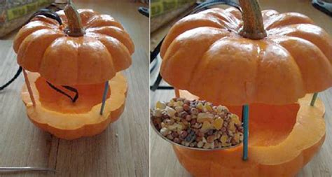 Как сделать красивую кормушку для птиц своими руками советы по созданию из разных материалов