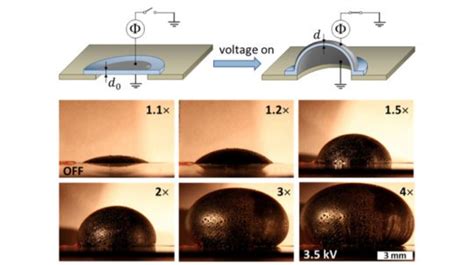 Bottlebrush Polymers Make Dielectric Elastomers Increasingly Viable For Use In Devices Iee