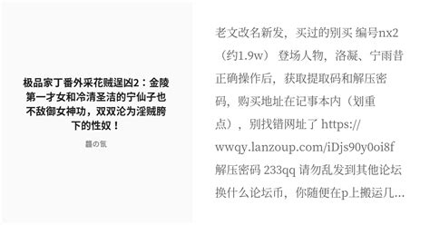 R 18 3 极品家丁番外采花贼逞凶2：金陵第一才女和冷清圣洁的宁仙子也不敌御女神功，双双沦为淫贼胯下的性奴！ Pixiv