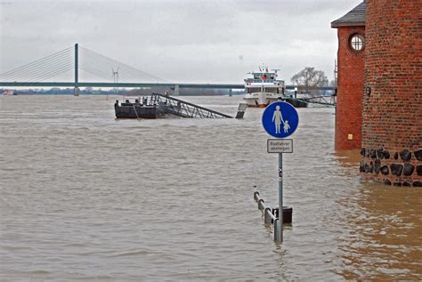 Hochwasser Rees Am Rhein 01 Foto And Bild Landschaft Bach Fluss And See