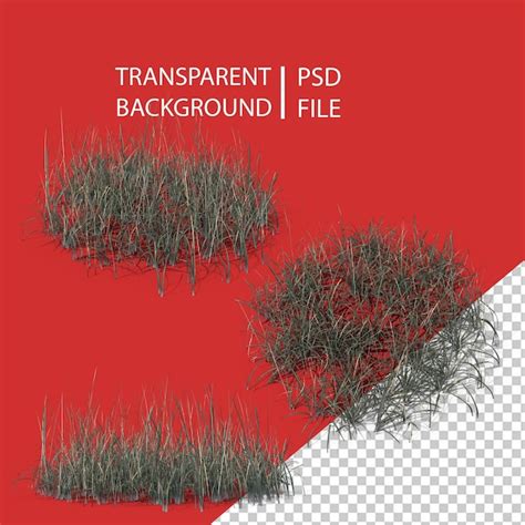 Grama Simples Png Psd Premium