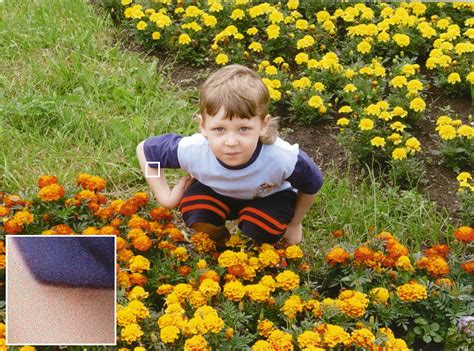 Портативная фотостудия НР Photosmart A428