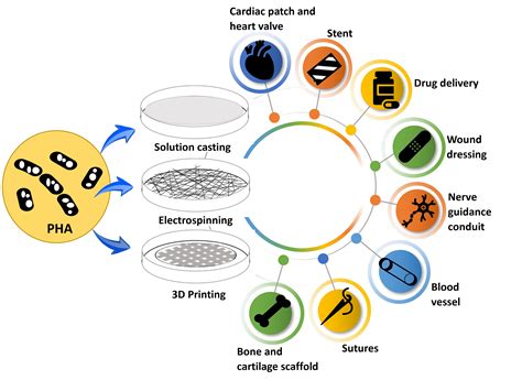 What Are The Applications Of Polymers At Erik Corbett Blog
