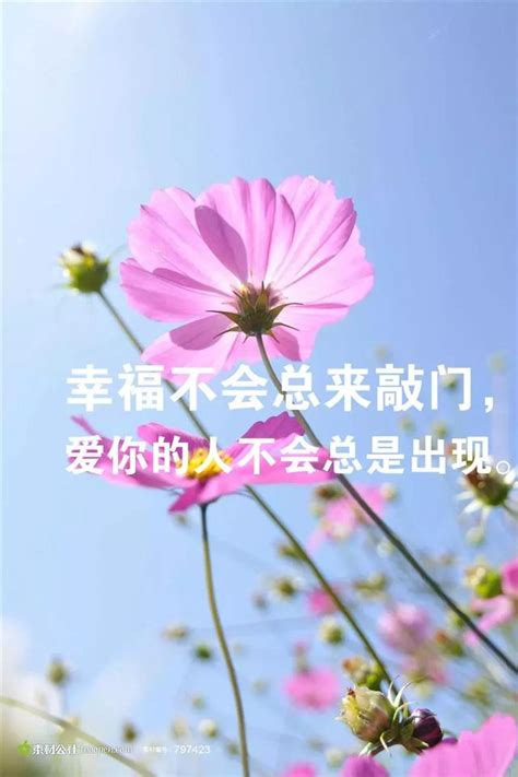 適合發朋友圈的經典短句子句句觸碰心靈的說說語錄 每日頭條