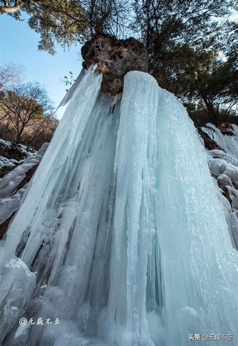 踏雪賞冰瀑探秘熊貓雪豹金錢豹棲息地四川臥龍 每日頭條