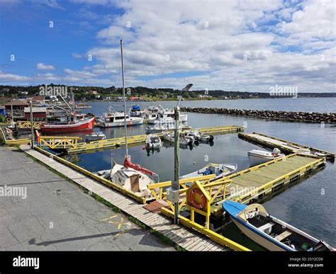 Marina In Dildo Newfoundland Labrador Canada Stock Photo Alamy
