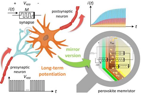 Juan Bisquert On Linkedin Memristor Neuron