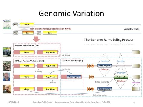 Ppt Computational Analysis On Genomic Variation Detecting And