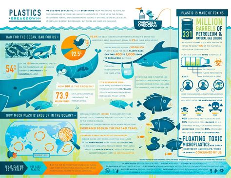 Infographic Infographic Design Pollution