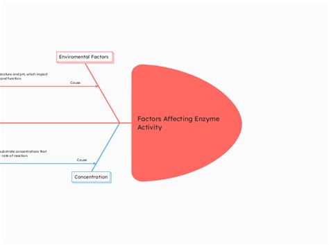 Factors Affecting Enzyme Activity Mindomo Mind Map