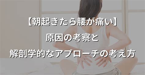 【朝起きたら腰が痛い】原因の考察と解剖学的なアプローチの考え方 岡山整体resol リソル