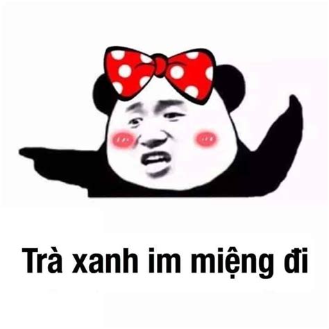 Pin By ☾•𝓝𝓱𝓾𝓷𝓰• ☾ On Meme GẤu TrÚc Cute Memes Funny Memes School