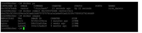 Docker Backup How Docker Backup Works With Examples