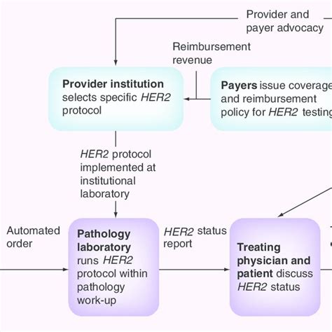 Her2 Testing Decision Making And Associated Stakeholder Challenges