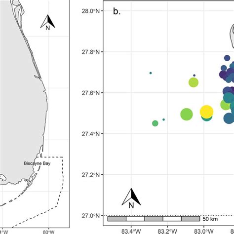 Advantages And Disadvantages Of Mark Recapture And Mark Resight Models Download Table