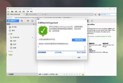 Mylifeorganized 软件 官方授权正版软件平台