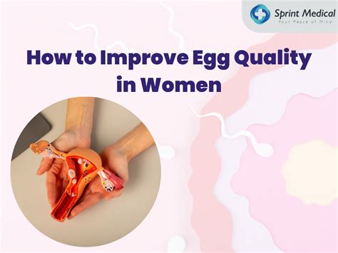 How To Improve Egg Quality In Women Sprint Medical