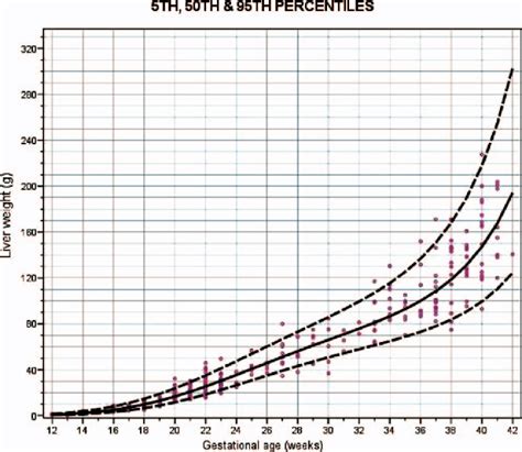 Figure 11 From Autopsy Standards For Fetal Lengths And Organ Weights Of