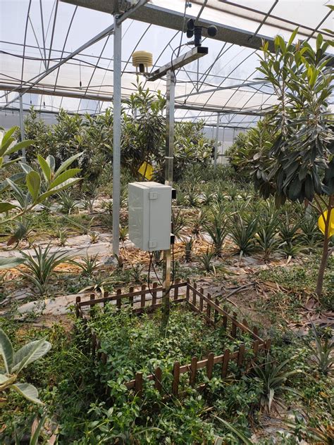 智慧大棚生态园项目智慧大棚智慧大棚厂家 智慧大棚灌溉系统 精讯畅通