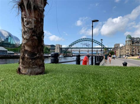 Newcastle Artificial Grass Company Newcastle Upon Tyne