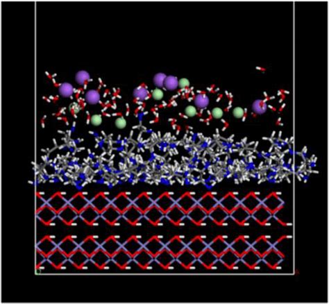 Optimized Geometry Obtained After Initial Mm Energy Minimization